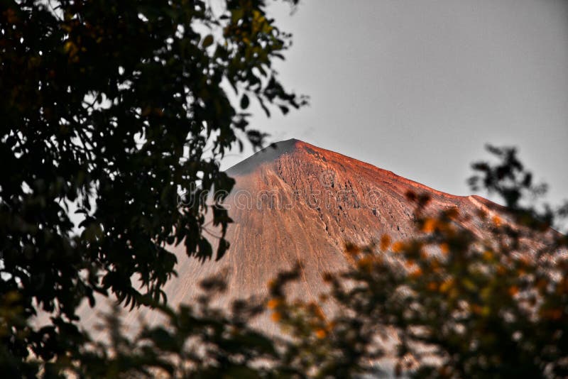 Volcano in between Two Trees Stock Photo - Image of nature, volcano ...