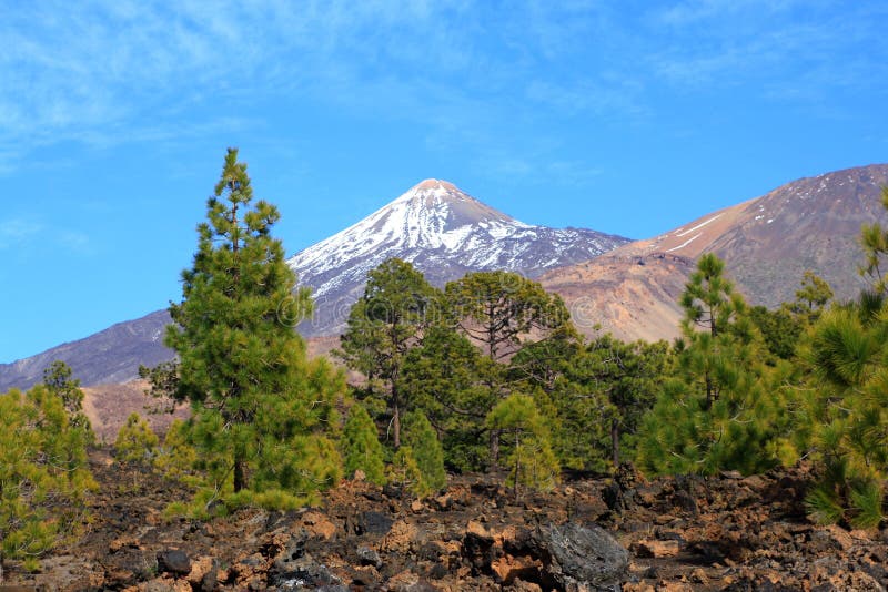 Volcano view through trees stock photo. Image of canary - 14907486