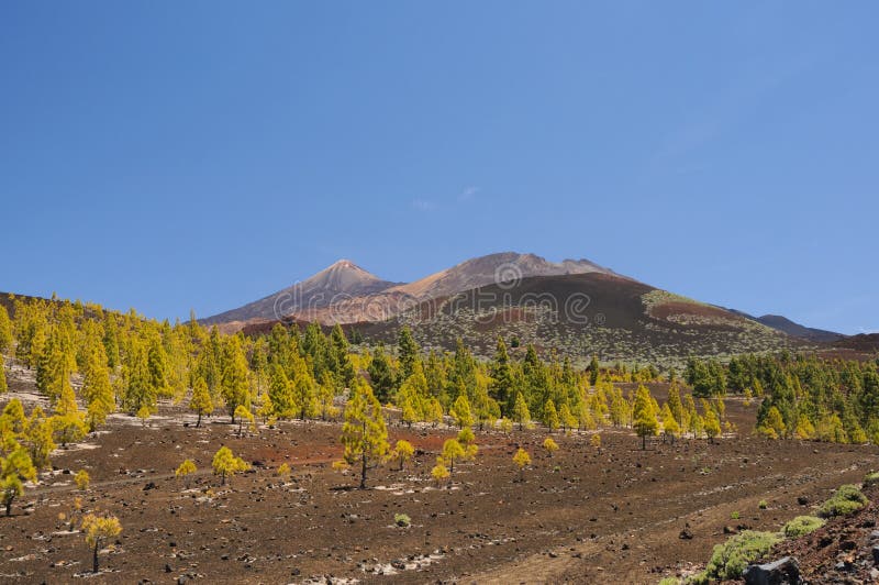 Volcanoes in Tenerife stock image. Image of pico, nature - 10798637
