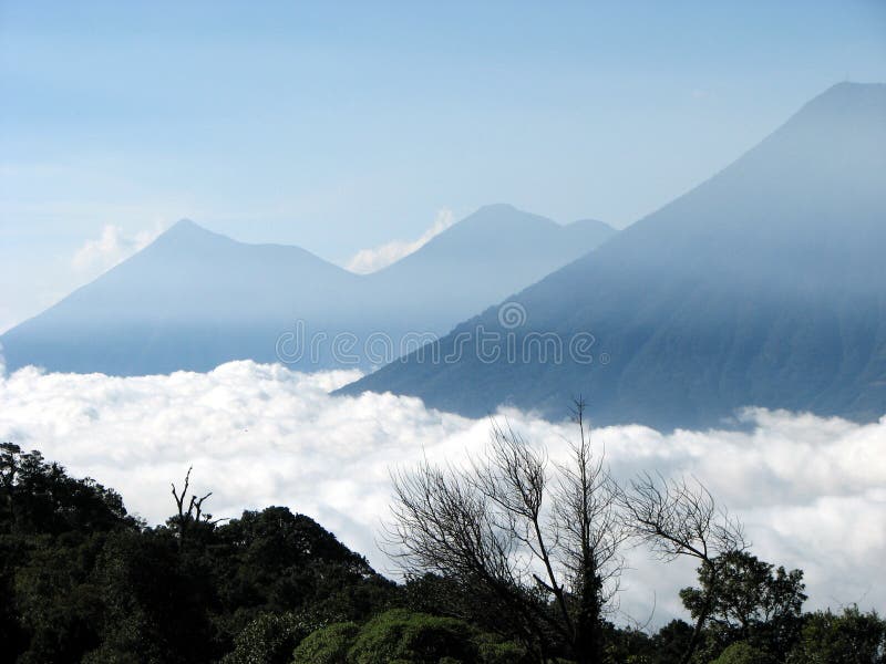 Front a Lava Flow, Volcano Pacaya Stock Photo - Image of guatemala ...