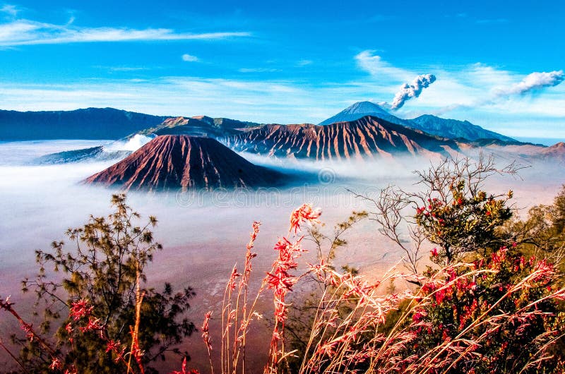 Volcanos Mount Semeru and Bromo in East Java Stock Image - Image of ...