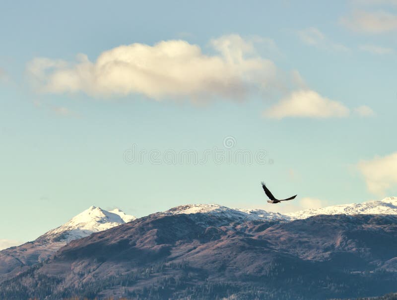 Voler gratuit image stock. Image du neige, nuages, nature - 34762319