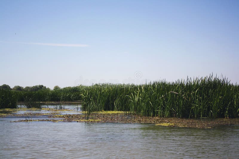 Volga river delta stock photo. Image of delta, water - 128587326