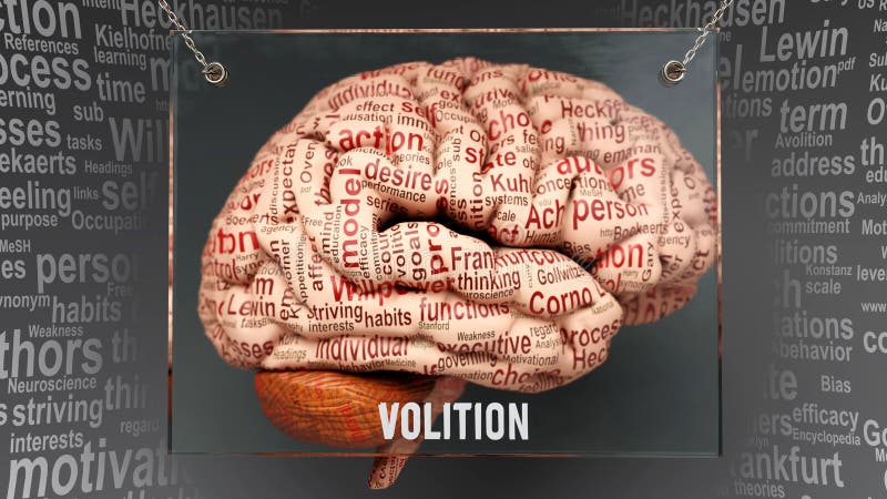 Volition in human brain stock illustration. Illustration of words ...