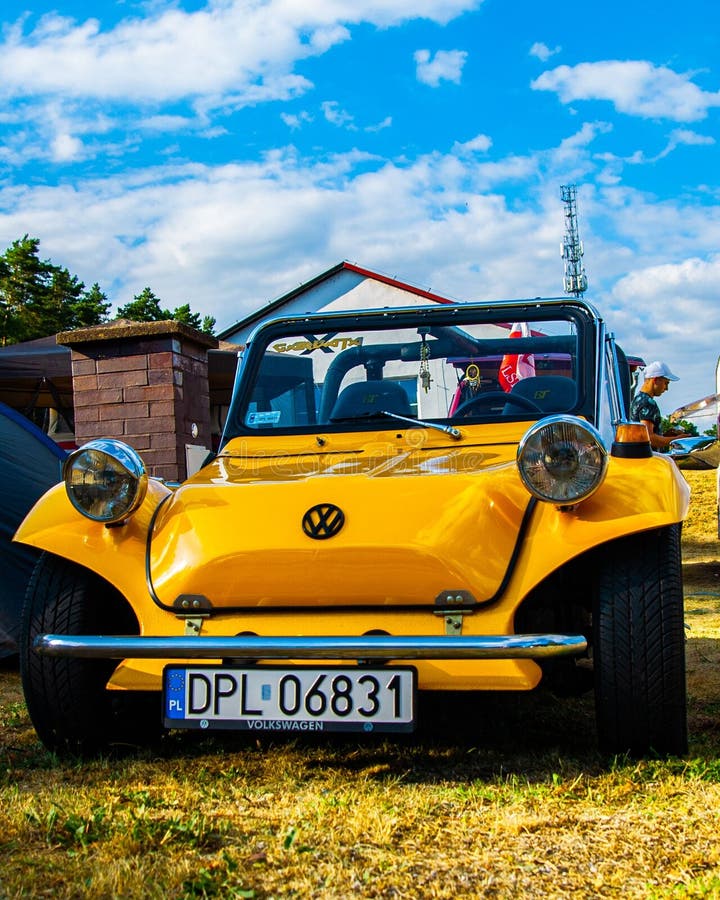 Volkswagen Beetle Car on the Grass. Editorial Photo - Image of beetle ...