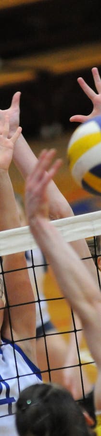 Volleyball action stock photo. Image of game, competition - 16475632