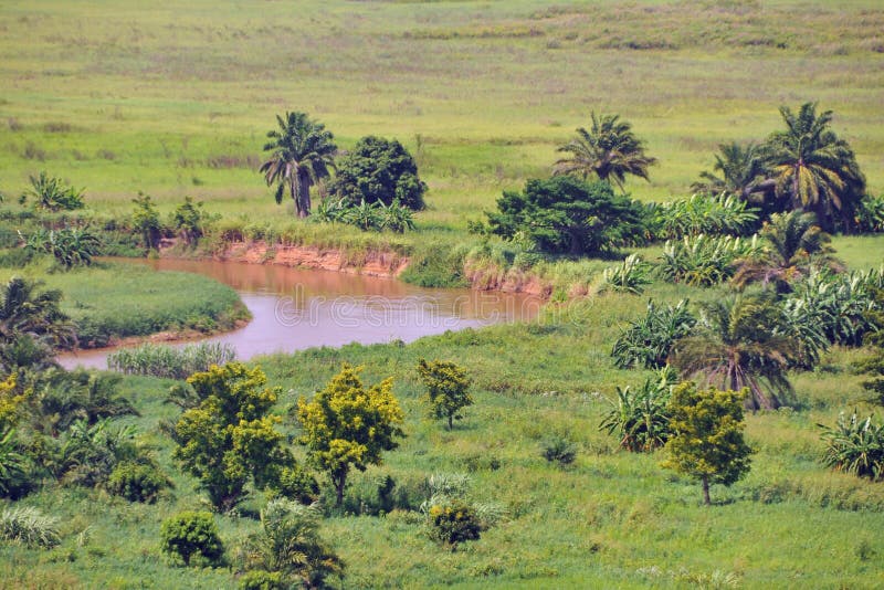 Curva do rio imagem de stock. Imagem de nave, banco, palma - 4485533