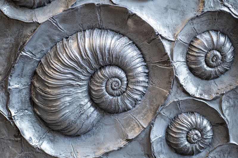 Volumetric Stucco Panel of Spiral Shells in Frosted Pewter. Art Stock ...