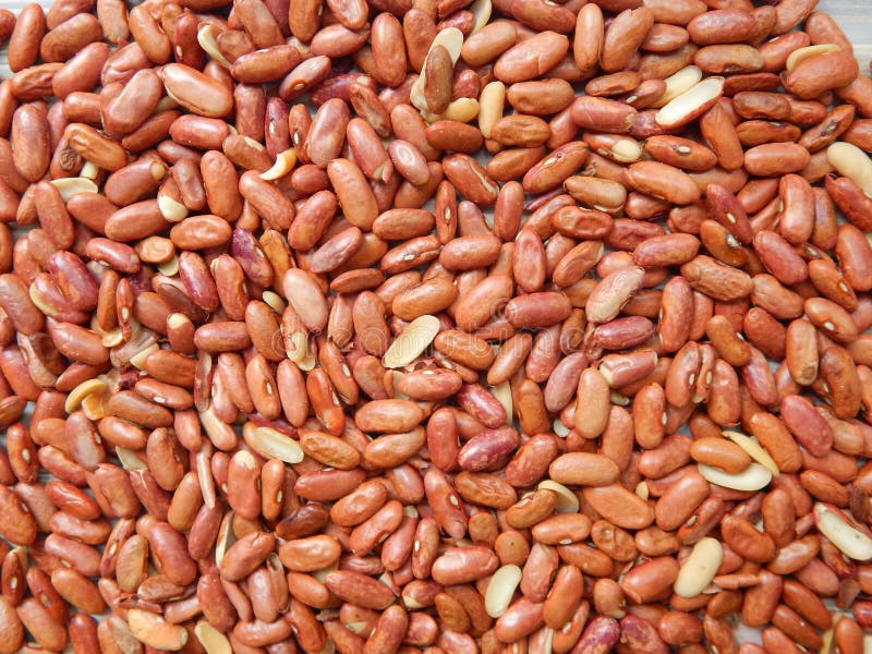Voluminous Background of Red Bean Grains Stock Image - Image of flat ...
