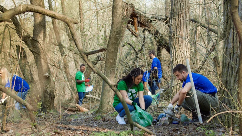 Voluntarios Que Recogen La Basura En Bosque Foto de archivo - Imagen de ...
