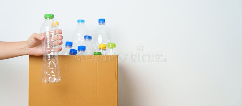 Volunteer Keep Plastic Bottle into Paper Box at Home or Office. Hand ...