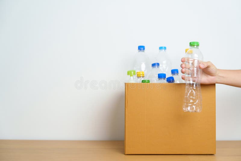 Volunteer Keep Plastic Bottle into Paper Box at Home or Office. Hand ...
