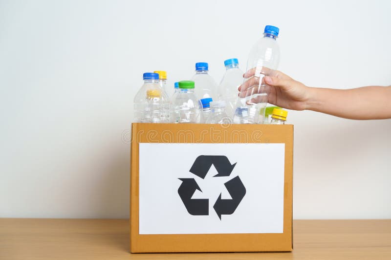Volunteer Keep Plastic Bottle into Paper Box at Home or Office. Hand ...