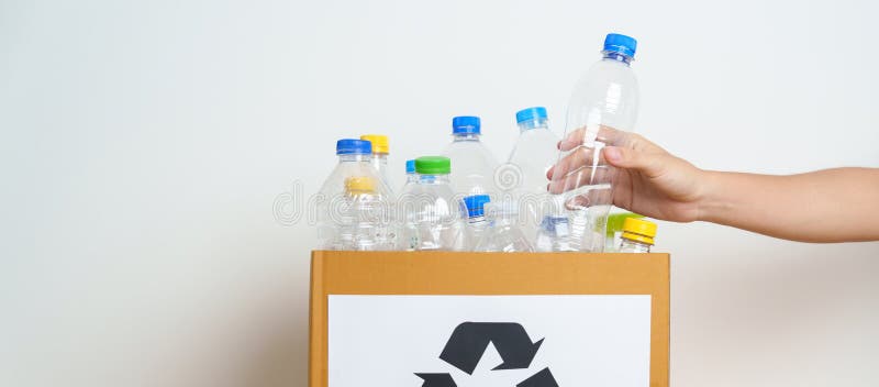 Volunteer Keep Plastic Bottle into Paper Box at Home or Office. Hand ...