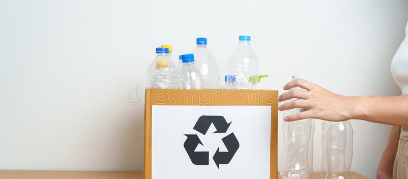 Volunteer Keep Plastic Bottle into Paper Box at Home or Office. Hand ...