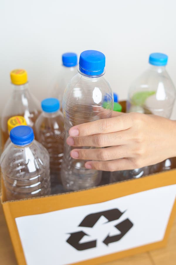 Volunteer Keep Plastic Bottle into Paper Box at Home or Office. Hand ...