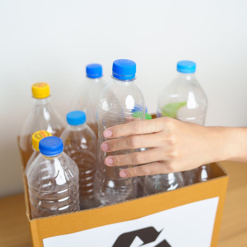 Volunteer Keep Plastic Bottle into Paper Box at Home or Office. Hand ...