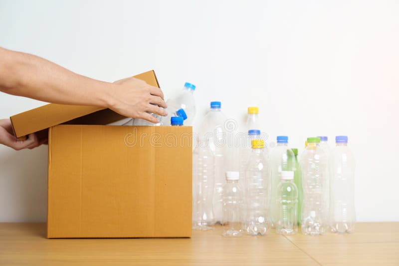 Volunteer Keep Plastic Bottle into Paper Box at Home or Office. Hand ...