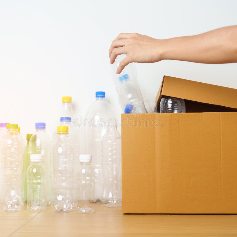 Volunteer Keep Plastic Bottle into Paper Box at Home or Office. Hand ...