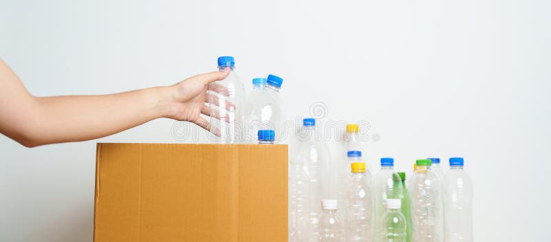 Volunteer Keep Plastic Bottle into Paper Box at Home or Office. Hand ...