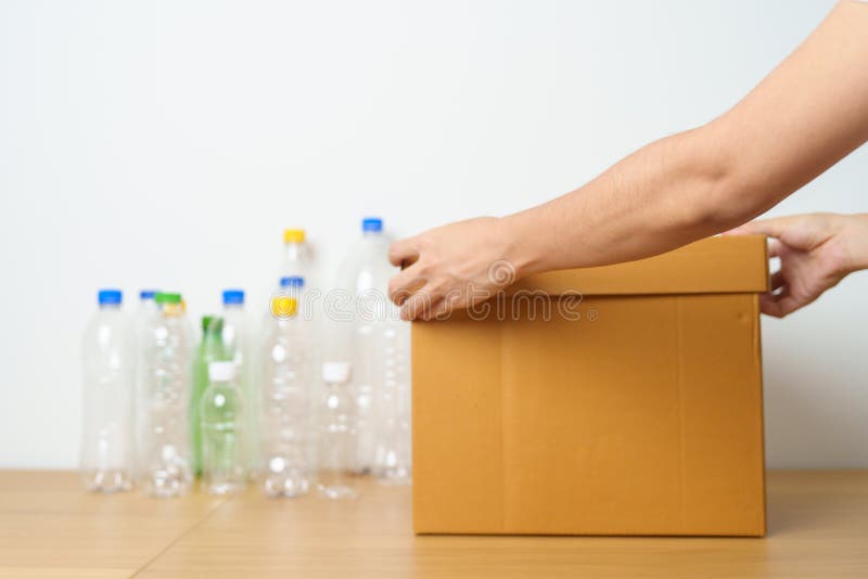 Volunteer Keep Plastic Bottle into Paper Box at Home or Office. Hand ...