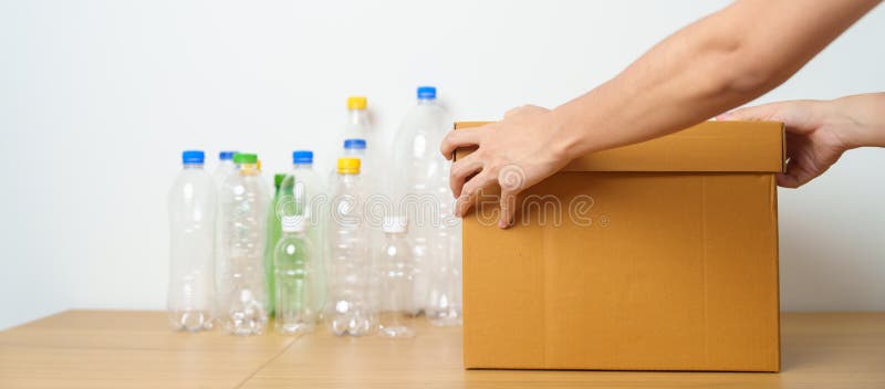 Volunteer Keep Plastic Bottle into Paper Box at Home or Office. Hand ...