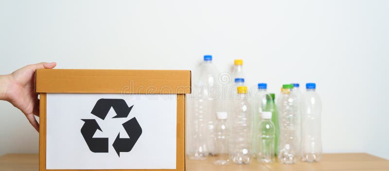 Volunteer Keep Plastic Bottle into Paper Box at Home or Office. Hand ...