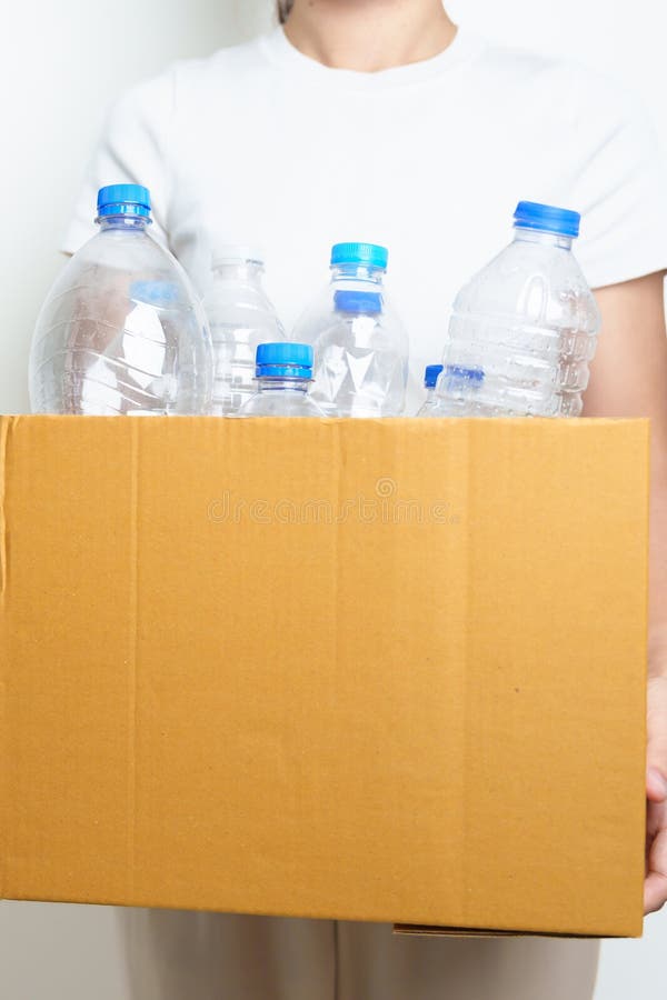 Volunteer Keep Plastic Bottle into Paper Box at Home or Office. Hand ...