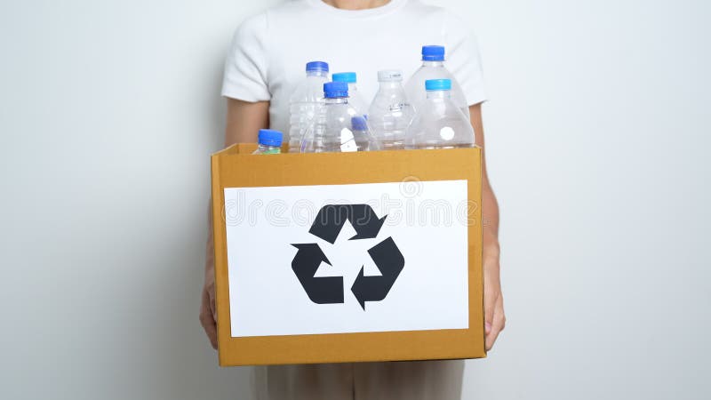 Volunteer Keep Plastic Bottle into Paper Box at Home or Office. Hand ...
