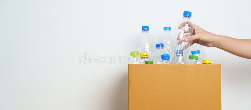 Volunteer Keep Plastic Bottle into Paper Box at Home or Office. Hand ...