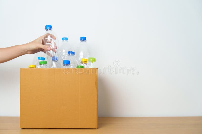 Volunteer Keep Plastic Bottle into Paper Box at Home or Office. Hand ...