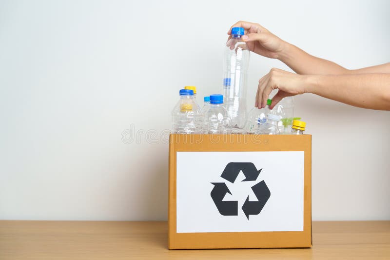 Volunteer Keep Plastic Bottle into Paper Box at Home or Office. Hand ...