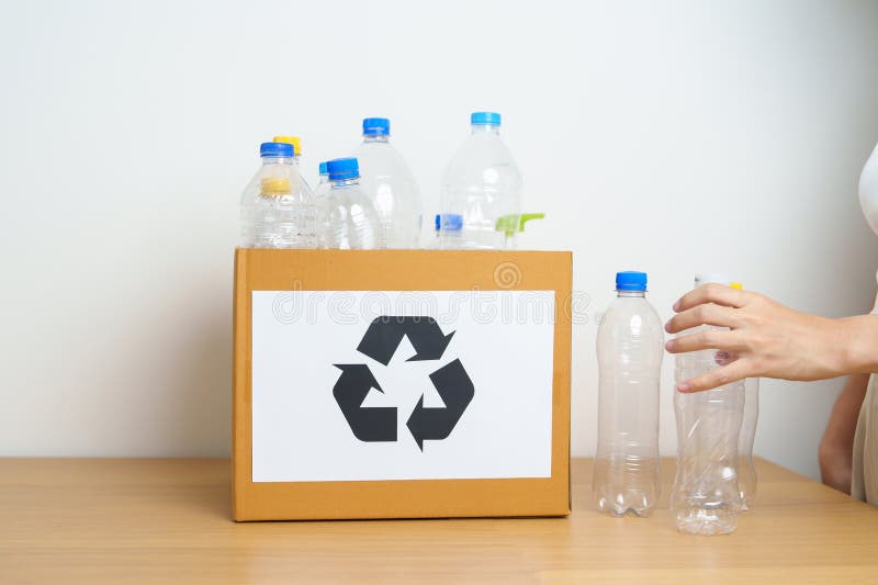 Volunteer Keep Plastic Bottle into Paper Box at Home or Office. Hand ...