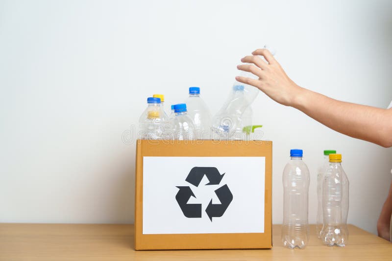 Volunteer Keep Plastic Bottle into Paper Box at Home or Office. Hand ...
