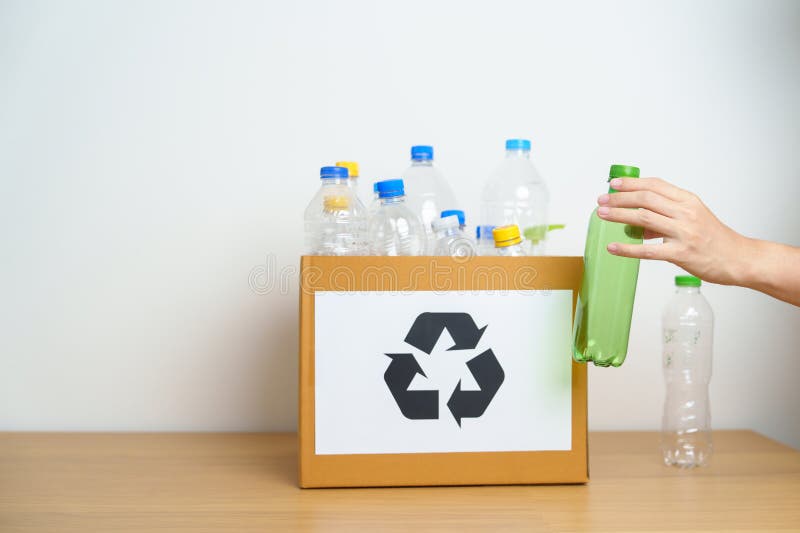 Volunteer Keep Plastic Bottle into Paper Box at Home or Office. Hand ...
