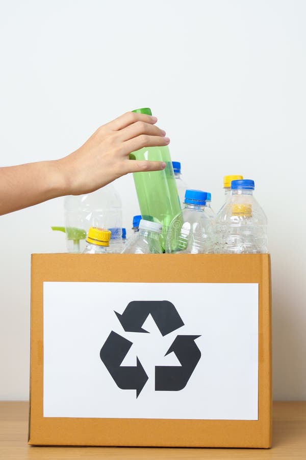 Volunteer Keep Plastic Bottle into Paper Box at Home or Office. Hand ...