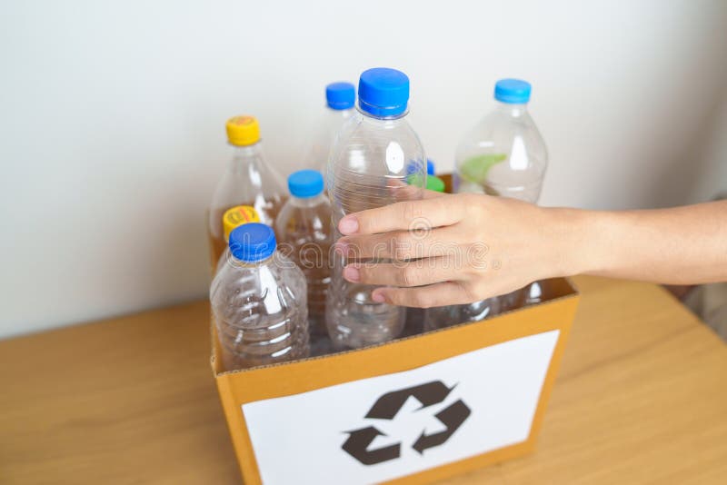 Volunteer Keep Plastic Bottle into Paper Box at Home or Office. Hand ...