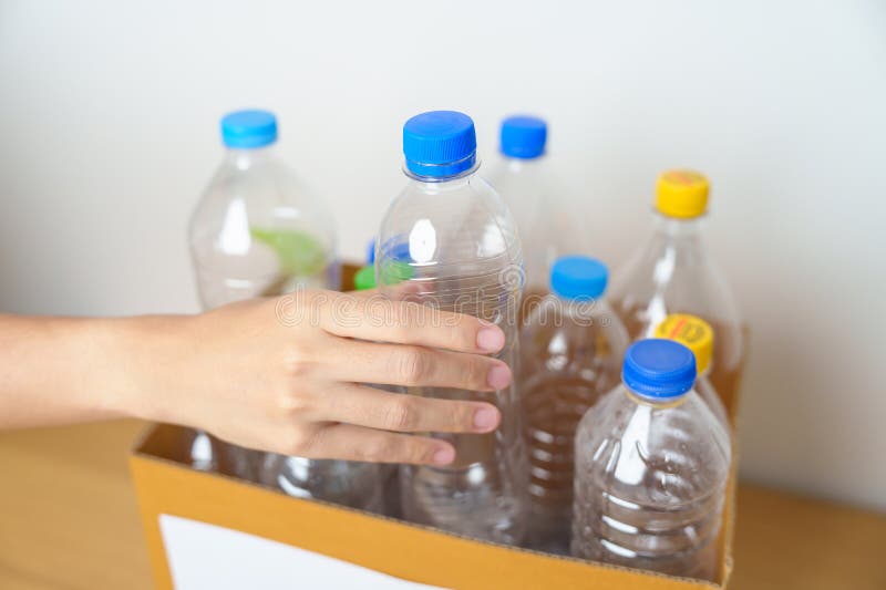 Volunteer Keep Plastic Bottle into Paper Box at Home or Office. Hand ...