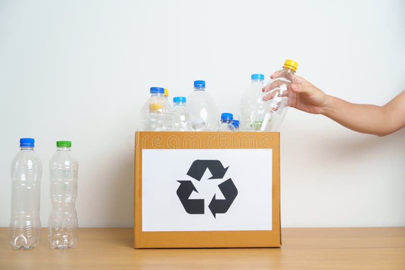 Volunteer Keep Plastic Bottle into Paper Box at Home or Office. Hand ...