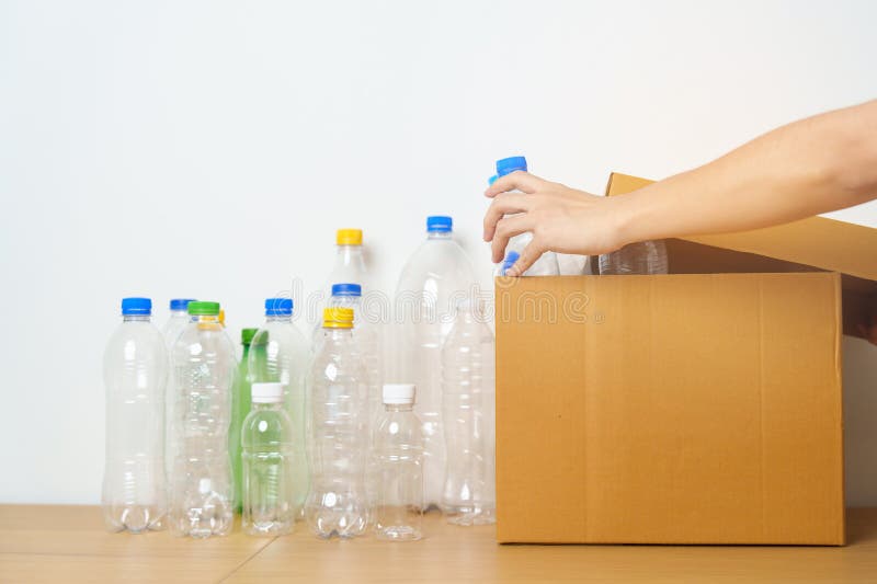 Volunteer Keep Plastic Bottle into Paper Box at Home or Office. Hand ...
