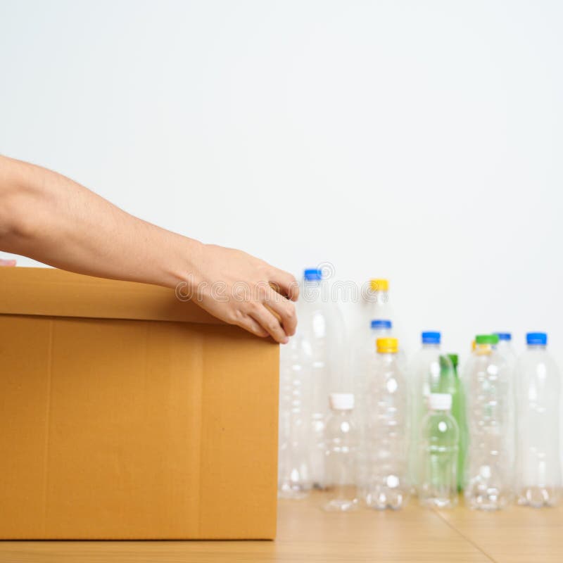 Volunteer Keep Plastic Bottle into Paper Box at Home or Office. Hand ...
