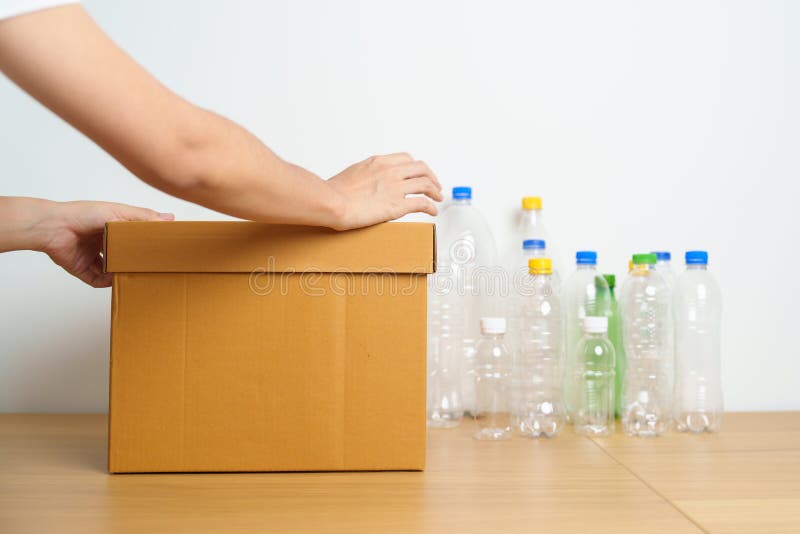 Volunteer Keep Plastic Bottle into Paper Box at Home or Office. Hand Sorting Recycle Garbage ...