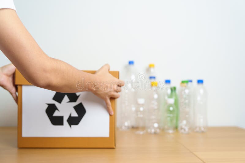 Volunteer Keep Plastic Bottle into Paper Box at Home or Office. Hand ...