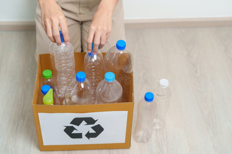 Volunteer Keep Plastic Bottle into Paper Box at Home or Office. Hand ...