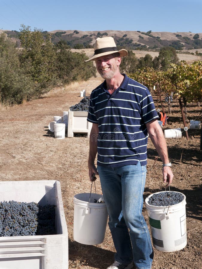 Man Carrying Two Buckets Stock Photos - Free & Royalty-Free Stock ...