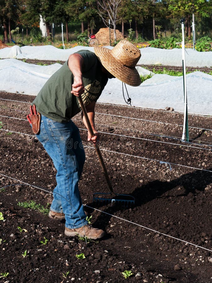 Volunteer Preparing Soil at Community Farm Editorial Stock Image ...