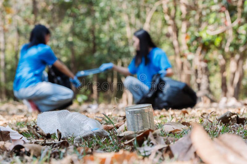 Volunteer Team in Nature for Community Service, Teamwork and Planning ...
