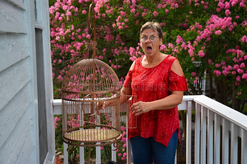 Volwassen Vrouw Laat De Vogel Per Ongeluk Uit De Kooi Stock Afbeelding ... Volwassen Vrouw Laat De Vogel Per Ongeluk Uit De Kooi Stock Afbeelding ...