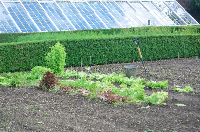 Voorbereiding Van Grote Moestuin Stock Foto - Image of serre, salade ...
