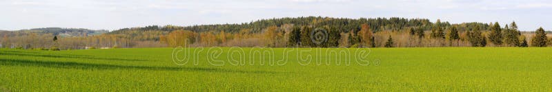 Vooremaa foto de archivo. Imagen de lago, condado, flora - 40253212